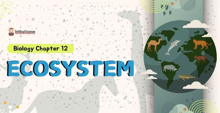 NCERT Class 12 Biology Chapter 12 Ecosystem MCQs & PYQ