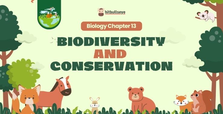 NCERT Class 12 Biology Chapter 13 Biodiversity and Conservation MCQs & PYQ