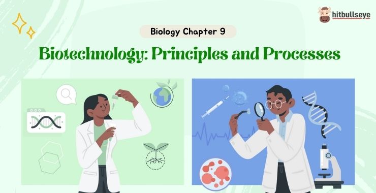 NCERT Class 12 Biology Chapter 9 Biotechnology: Principles and ...