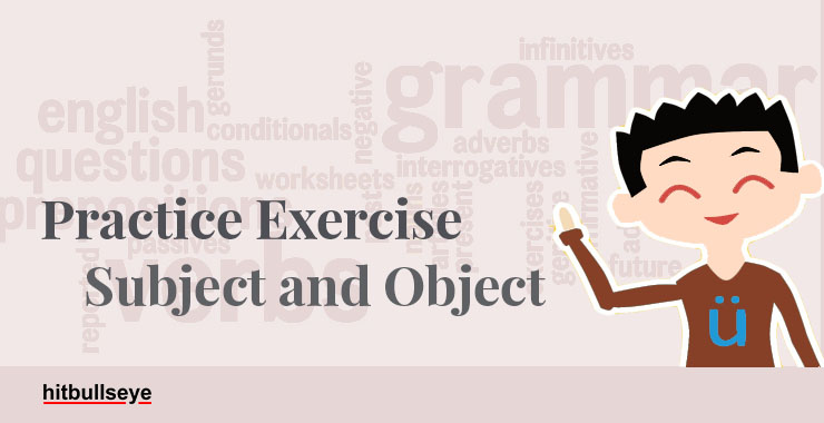 Subject and Object - Practice Exercise - Hitbullseye